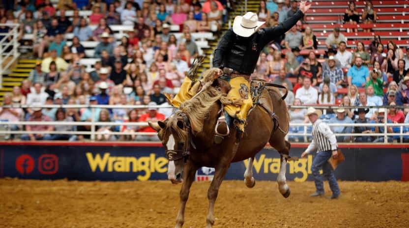 Rodeo - Visit Mesquite