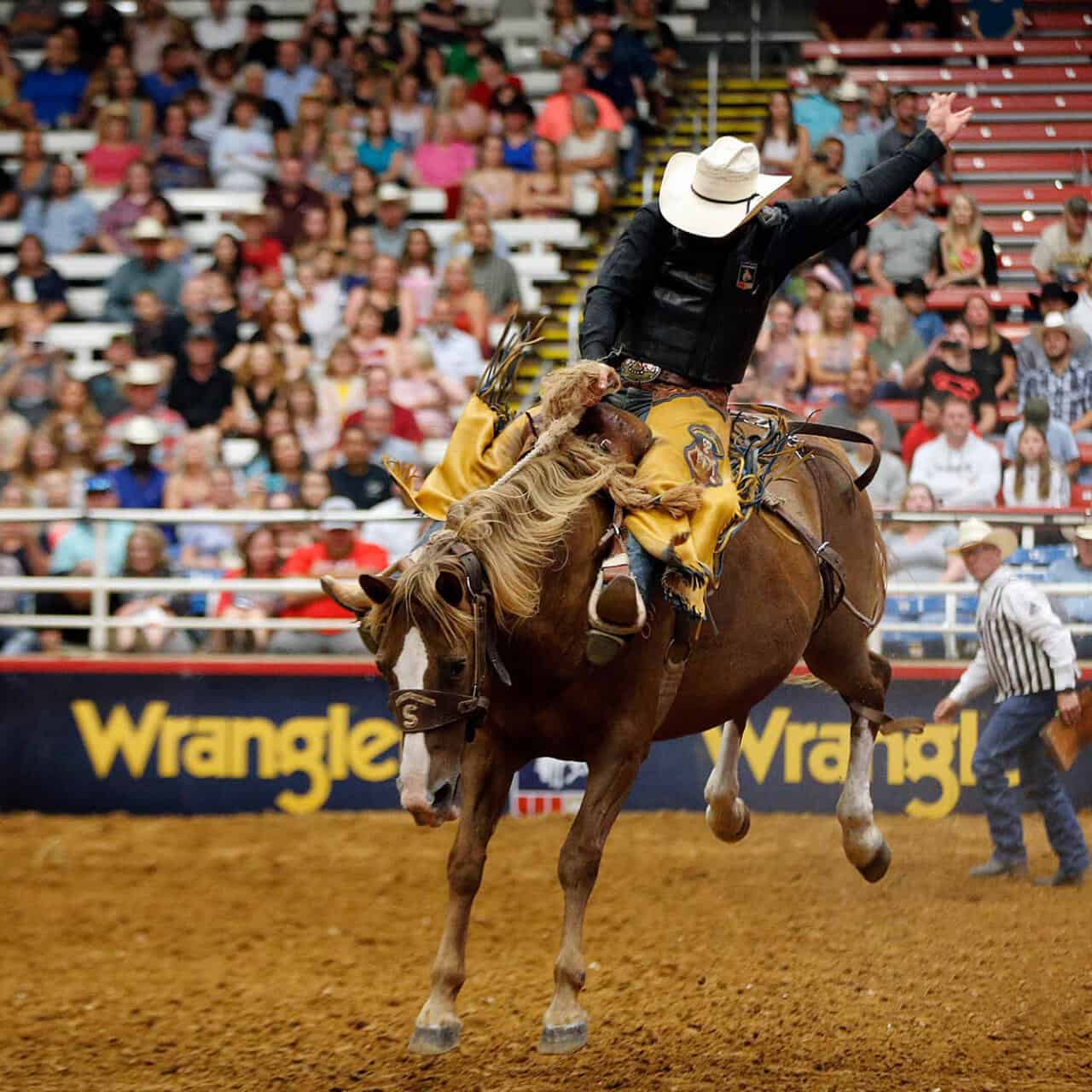 Visitor's Guide - Visit Mesquite
